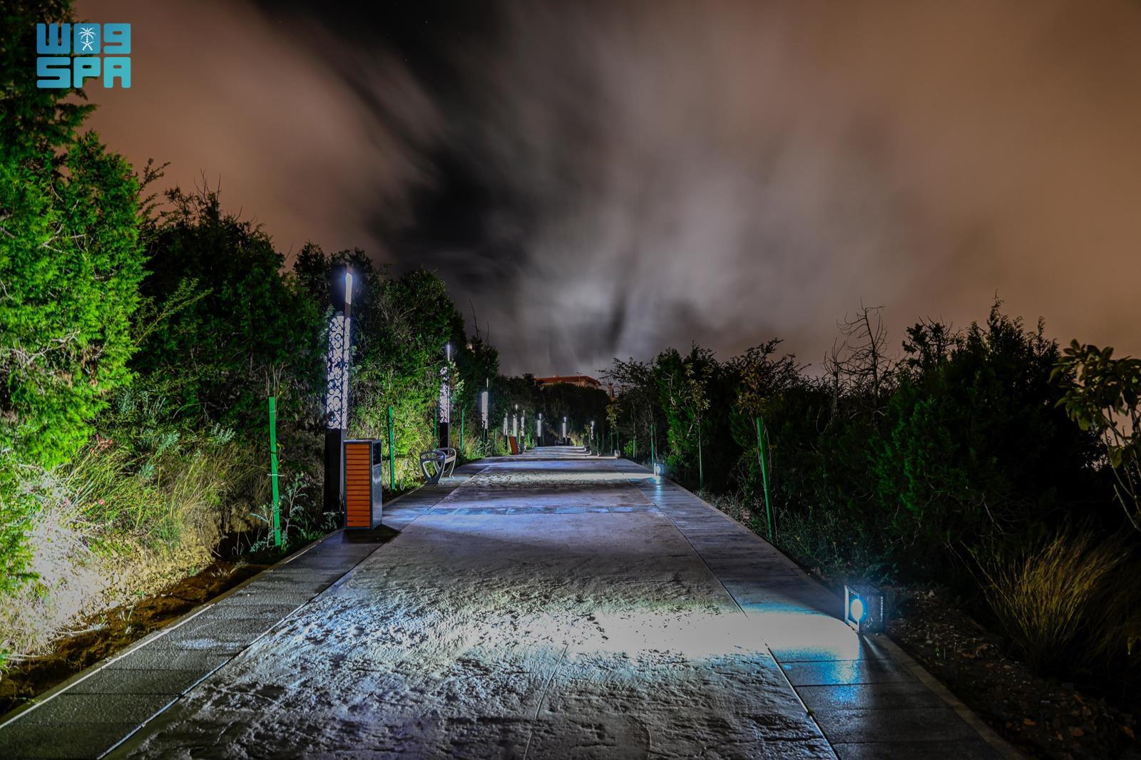 Raghadan Forest in Al-Baha Transforms into Stunning Winter Landscape