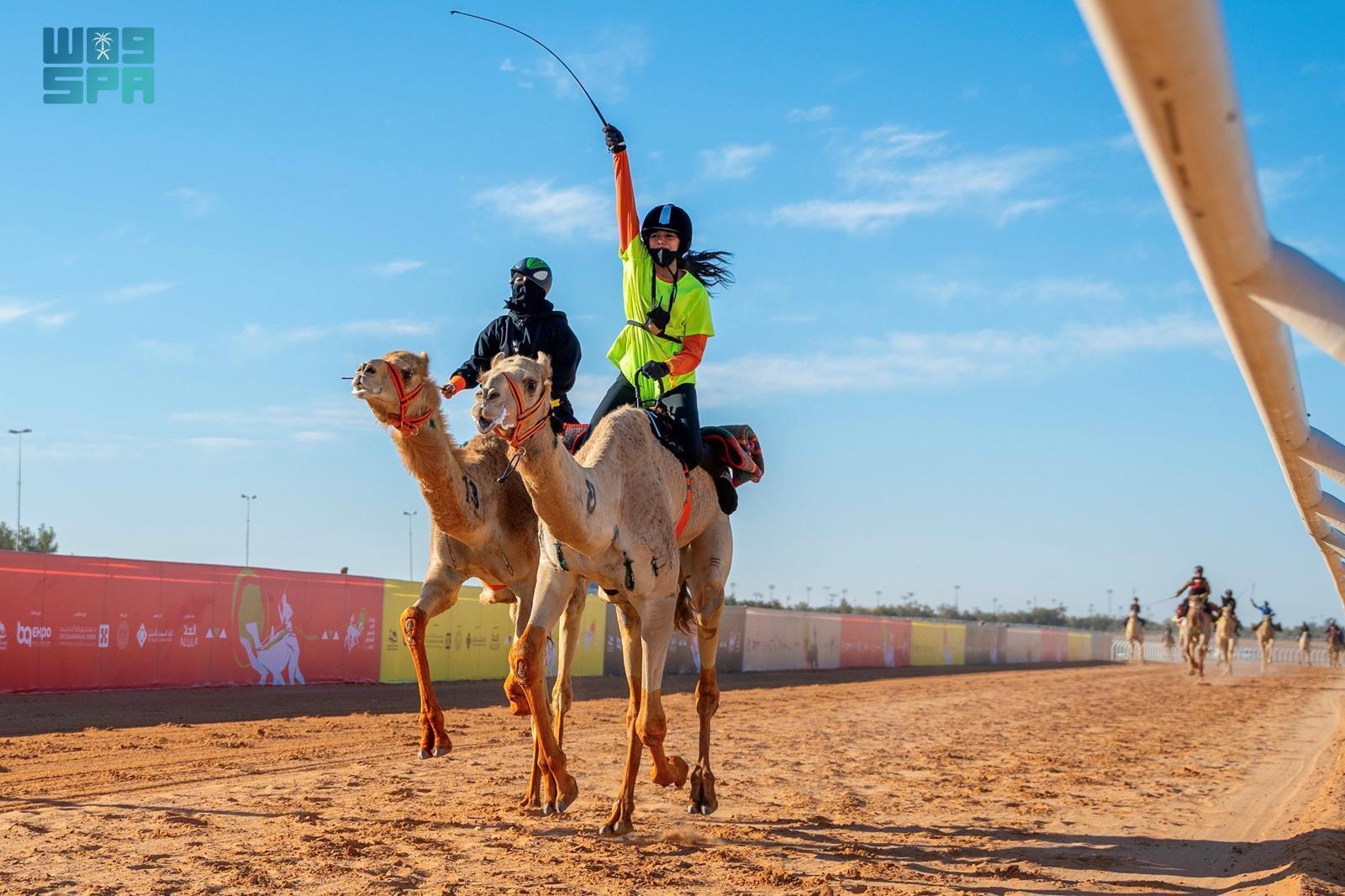 Custodian of the Two Holy Mosques Camel Festival 2025 Sees Significant ...