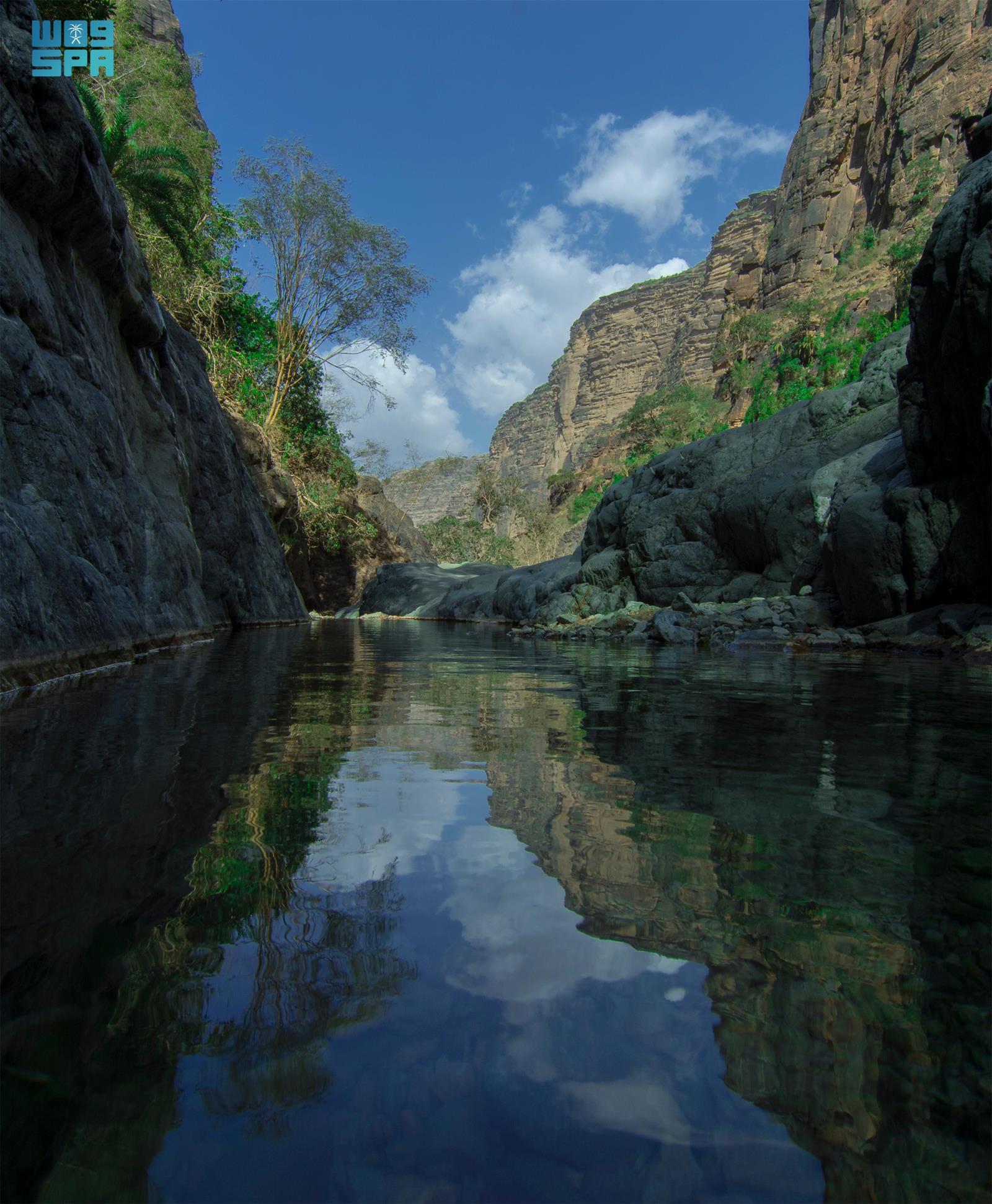 Saudi Arabia Marks Earth Day, Showcasing Environmental Protection ...