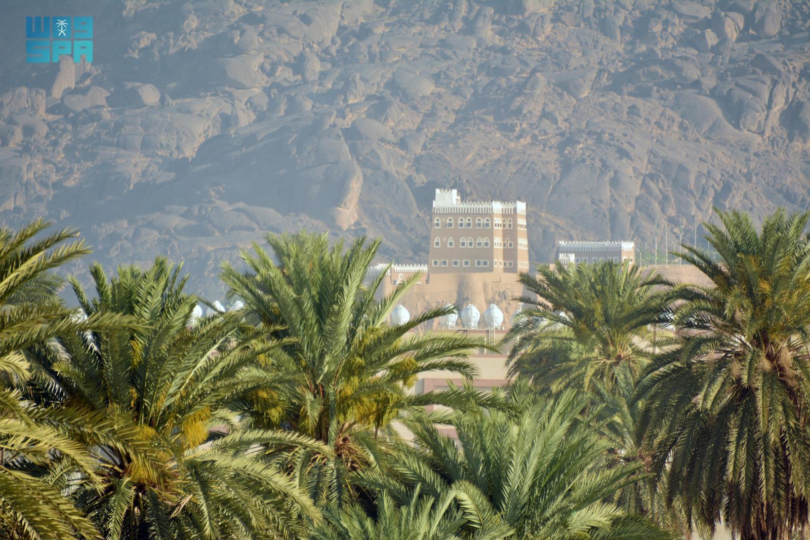 Al-Hadhan Village: A Natural and Cultural Jewel of Najran