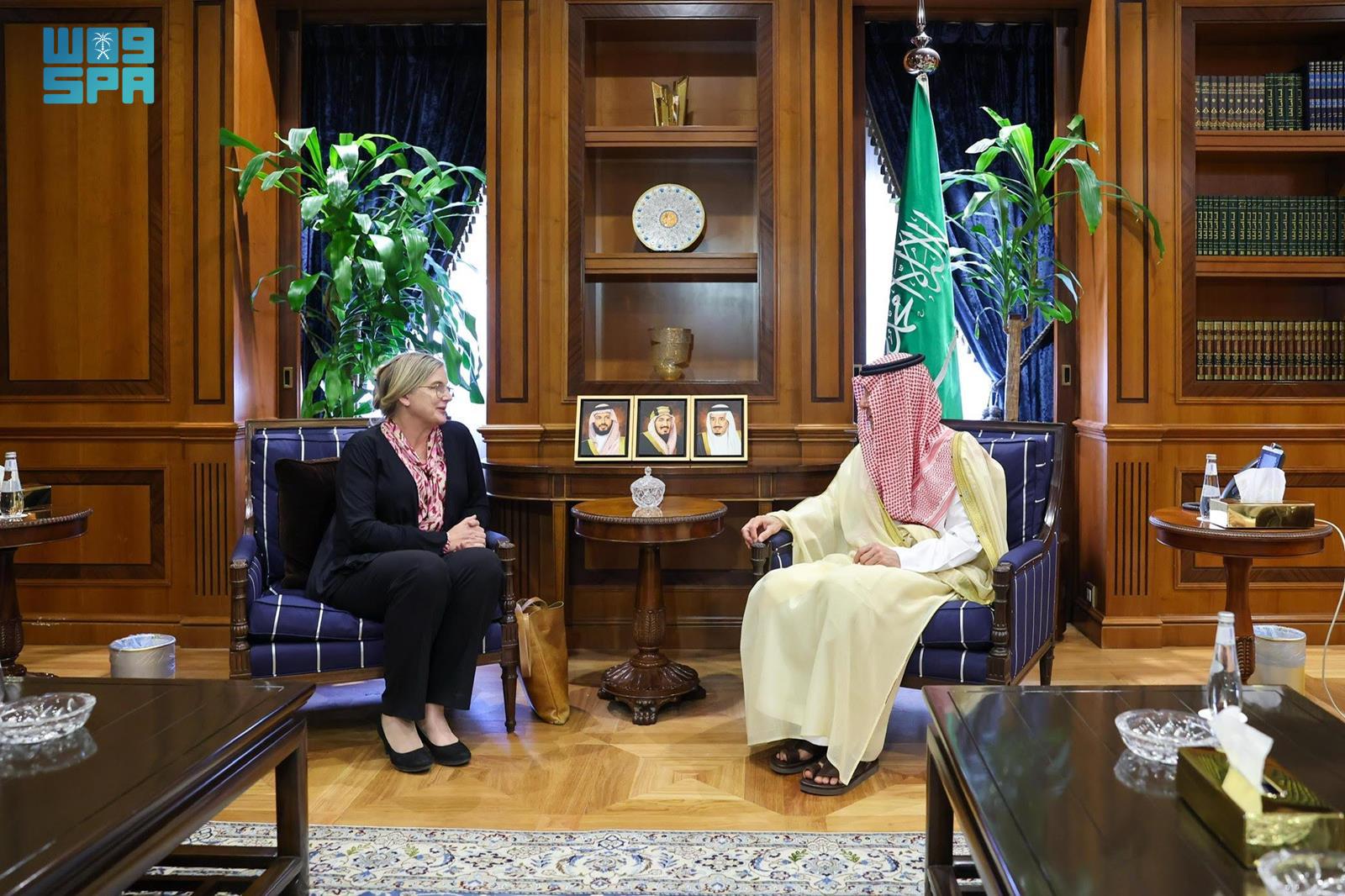 Minister of State for Foreign Affairs Receives Delegation from Swedish ...