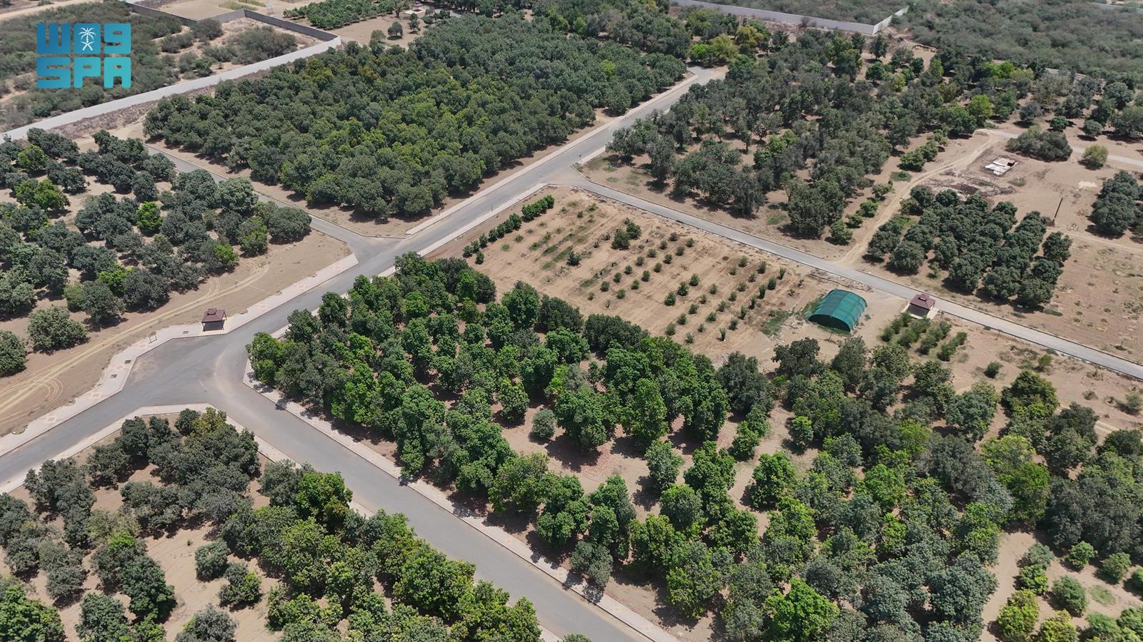 Estidamah Jazan Branch: Agricultural Achievements