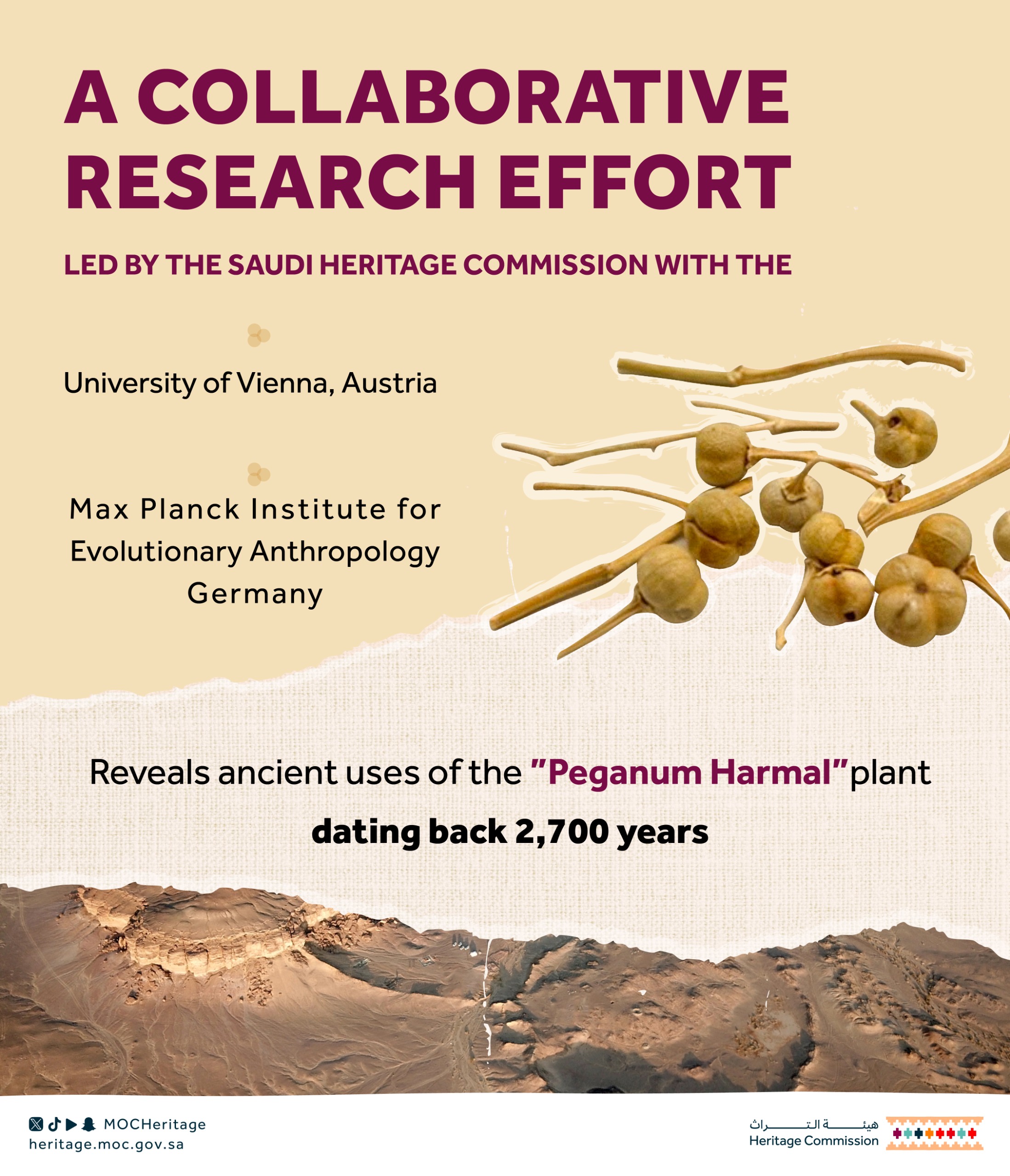 Heritage Commission Reveals Oldest Known Use of Harmal Plant in Human ...