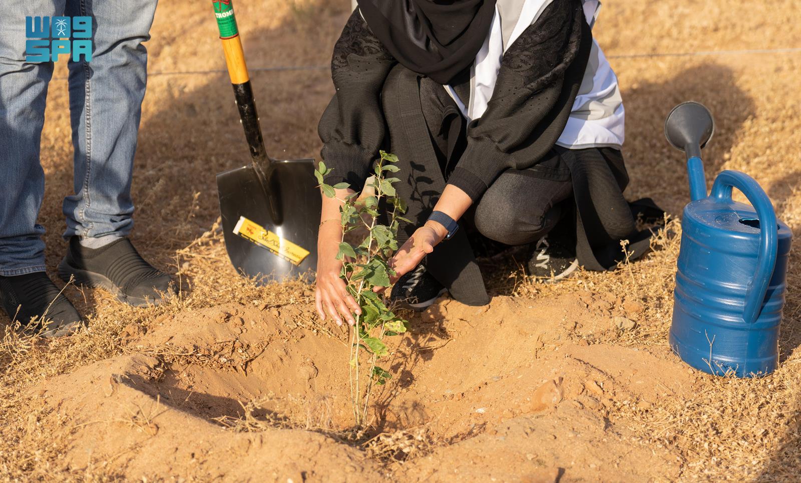 NCVC Highlights Saudi Arabia's Efforts in Land Rehabilitation and ...