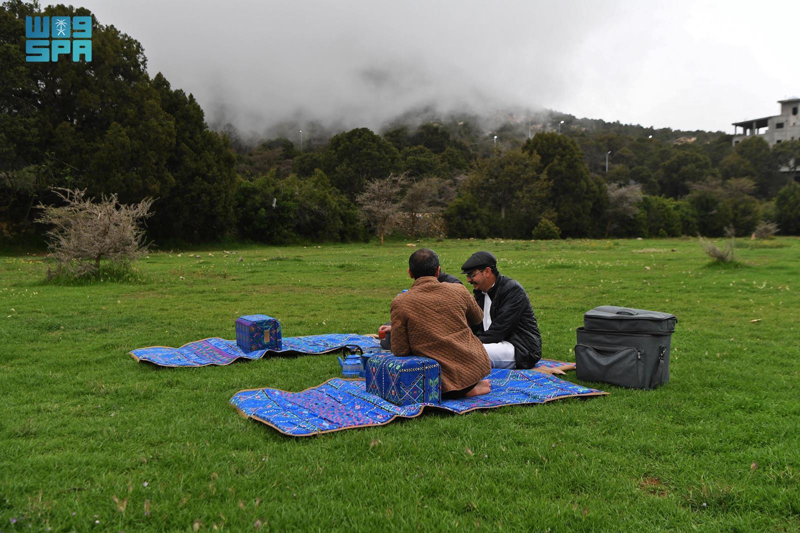 Aseer Region Receives 7.5 Million Tourists in 2024