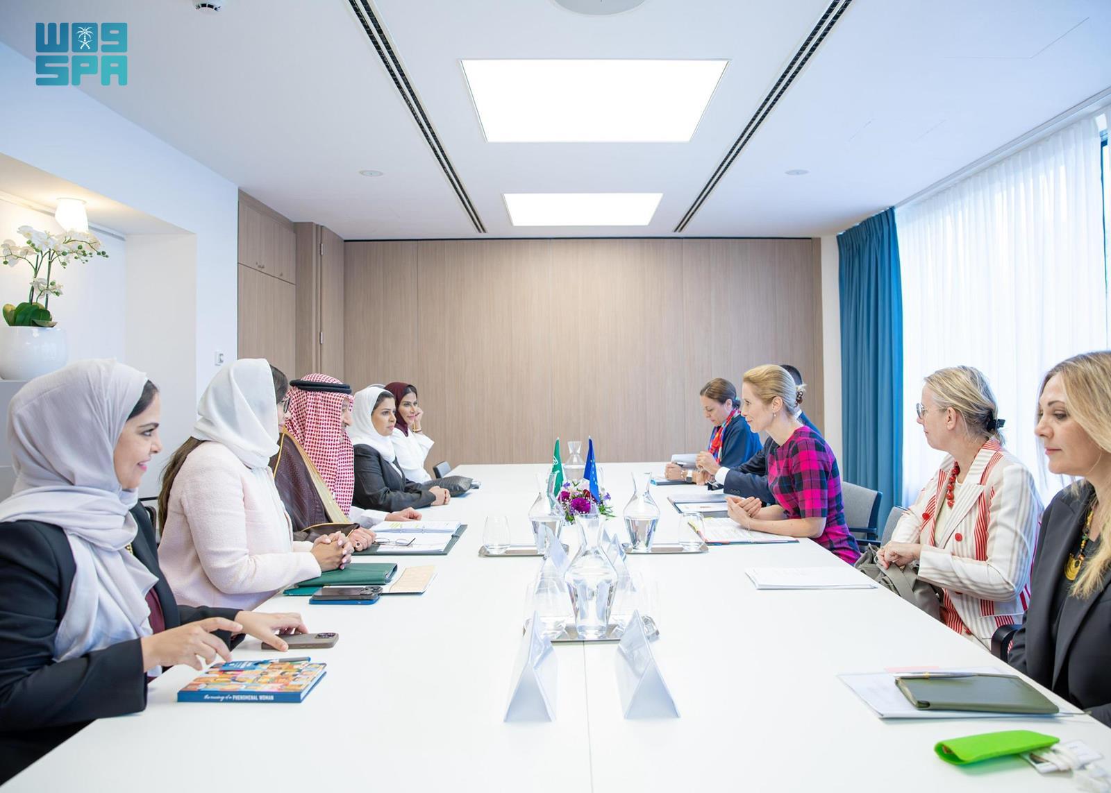 Vice Foreign Minister Meets EU High Representative, Special ...