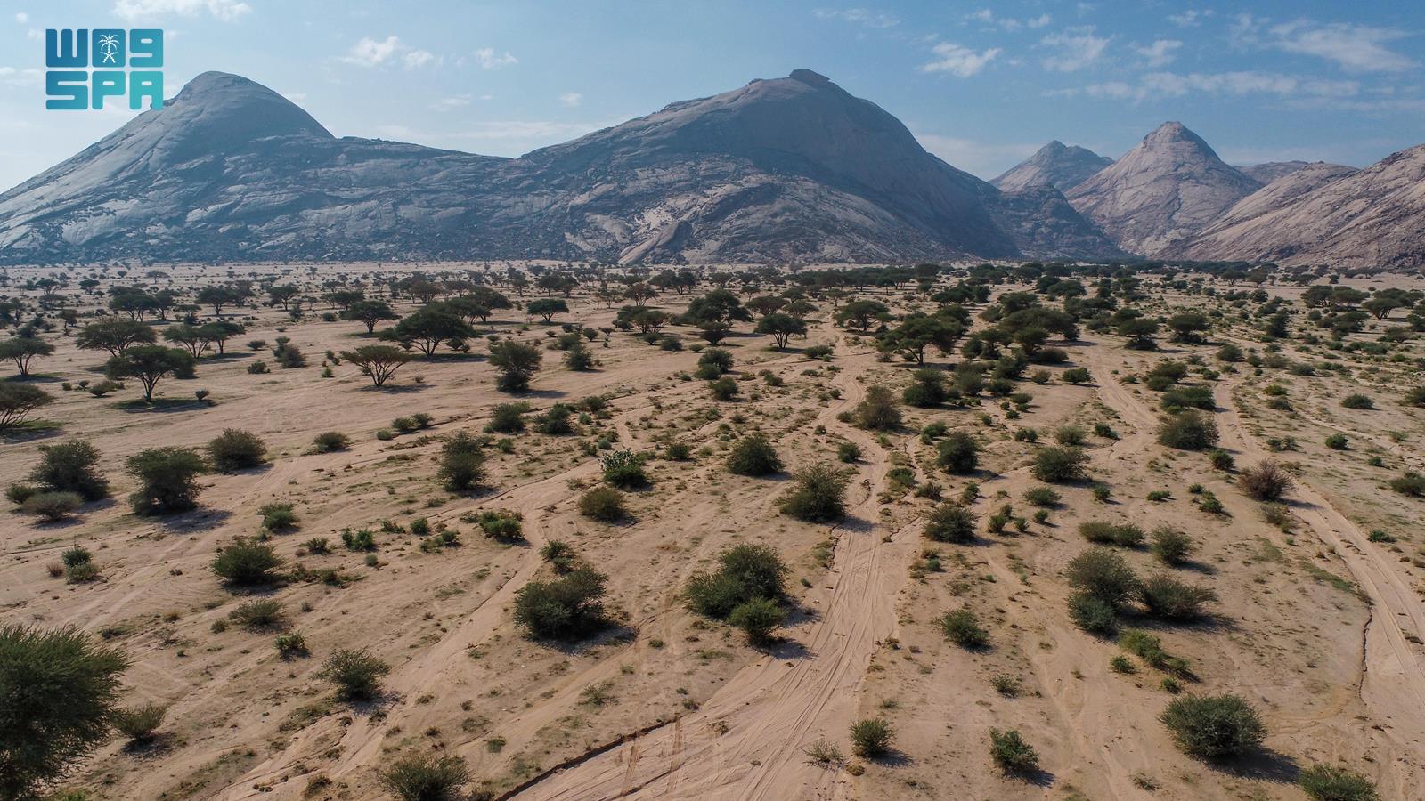 Saudi Arabia Forges Greener Future with Ambitious Environmental Initiatives