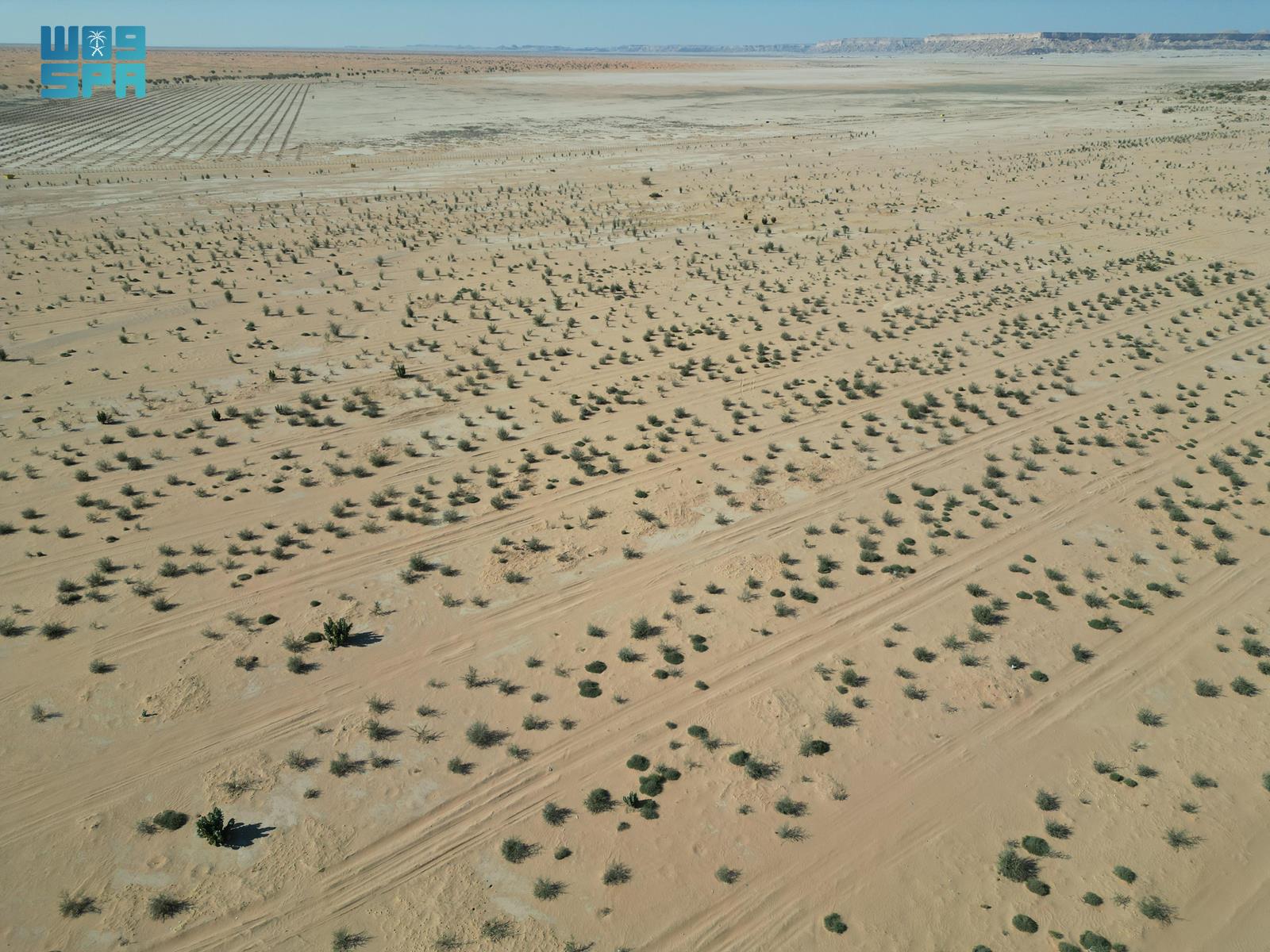 Saudi Arabia Forges Greener Future with Ambitious Environmental Initiatives