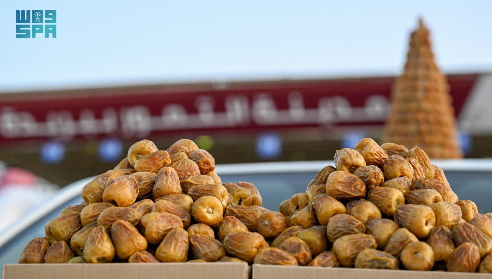 Buraidah Dates Carnival Draws Crowds as High-Quality Date Varieties ...