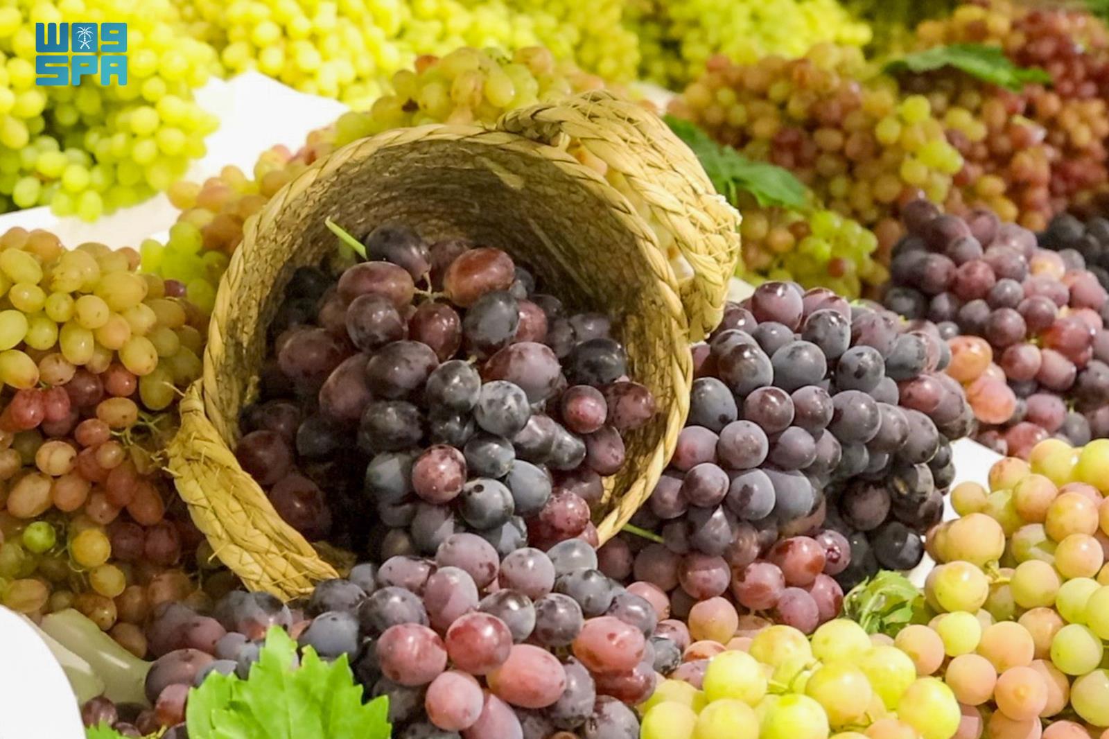 Local Grapes Fill Markets as Peak Summer Season Begins