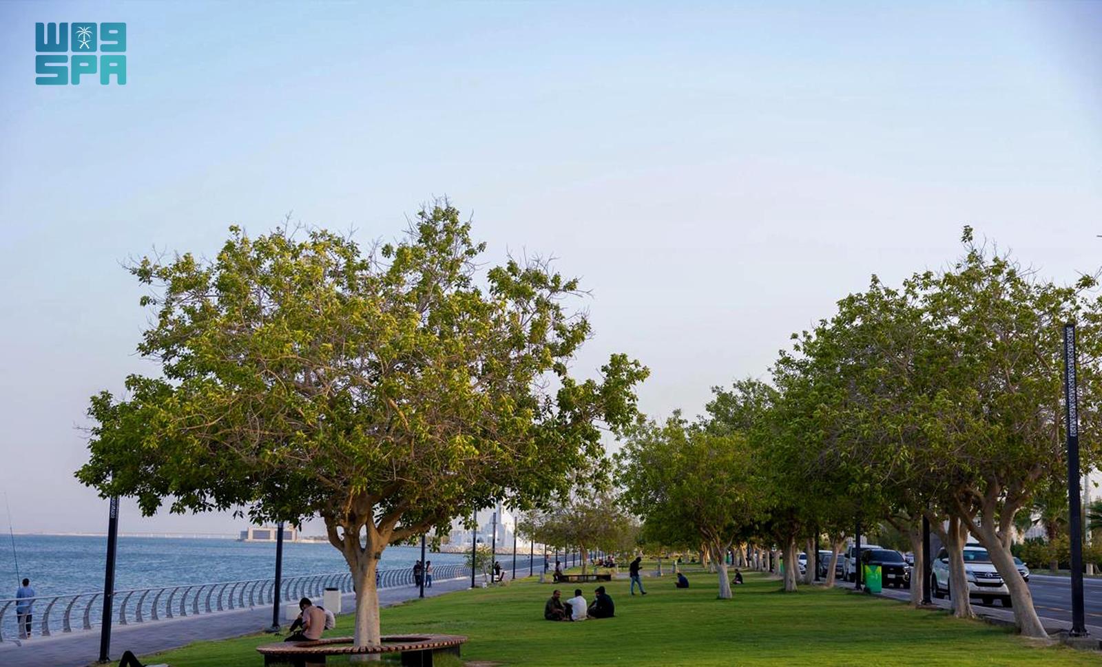 Al-Khobar to Digitize 100,000 Trees in First Smart Green City Project