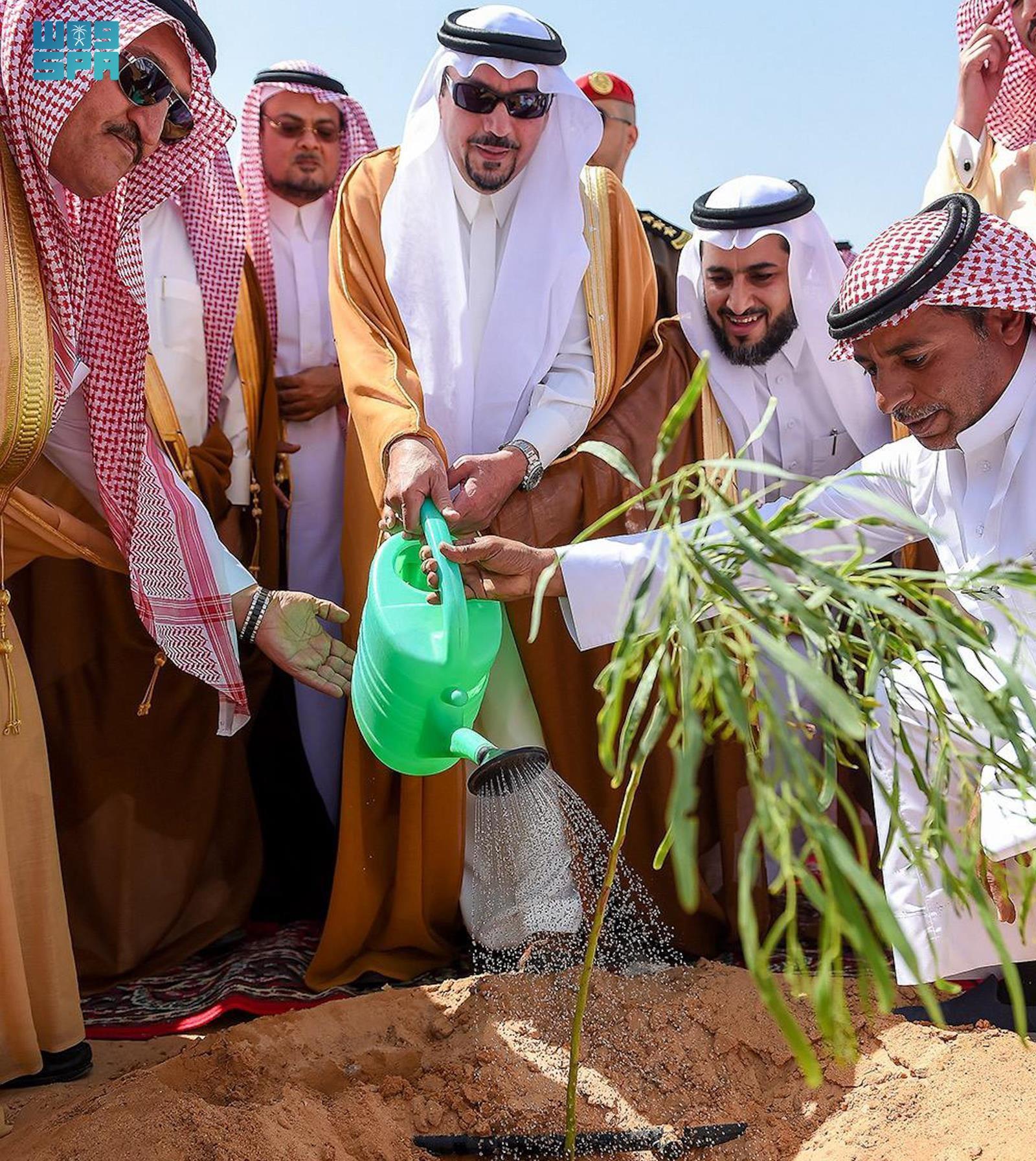 Green Qassim Land Initiative Plants Over 7.5 Million Trees in Its ...