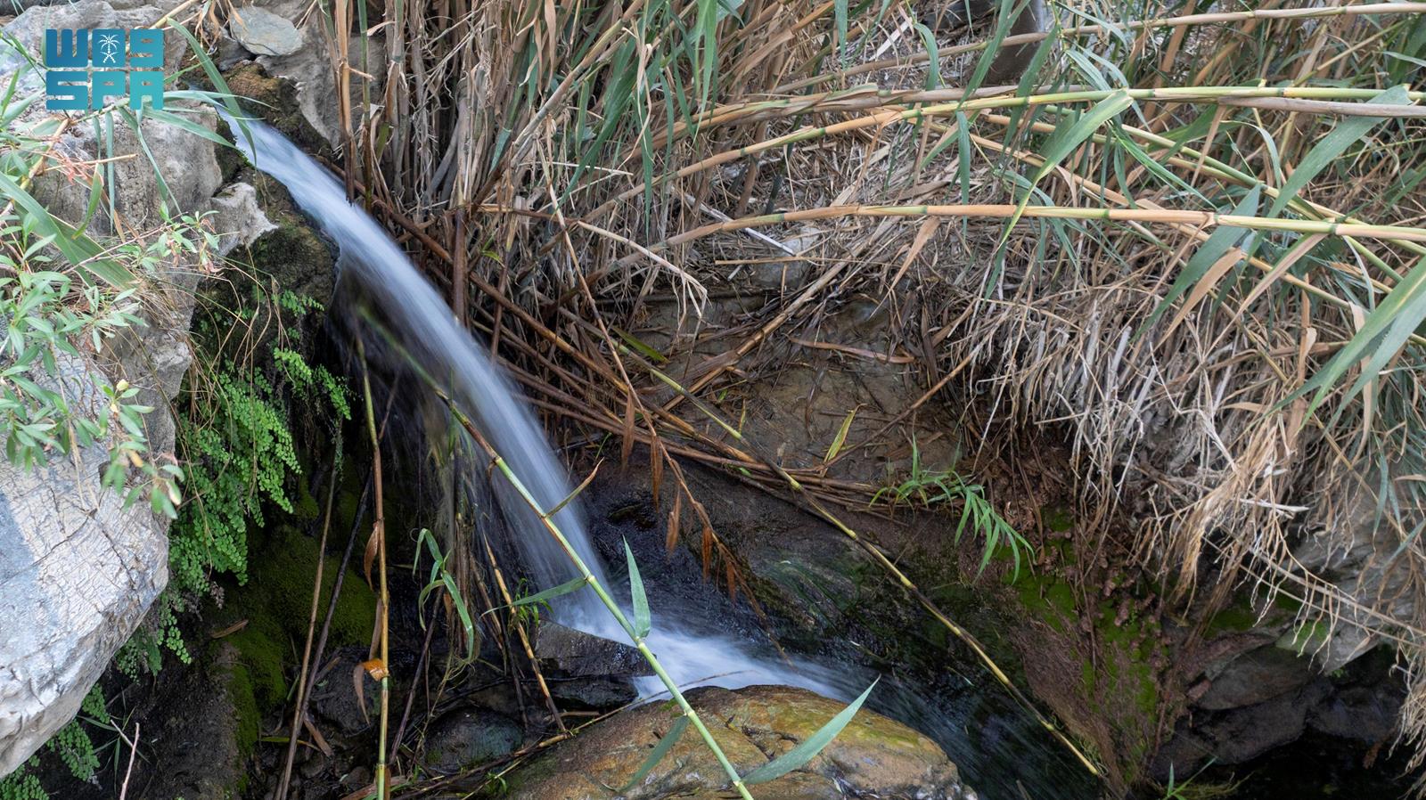 Umm Al Daqiq Valley in Al-Baha Offers Breathtaking Natural Landscape