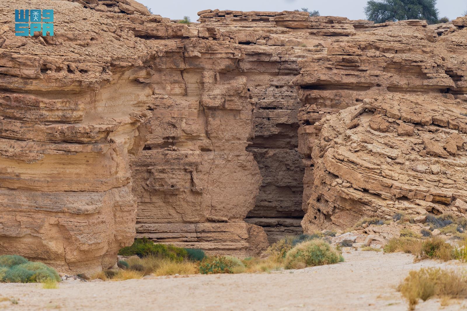 Fifth Al Urumah Season Boosts Ecotourism with Diverse Experiences ...